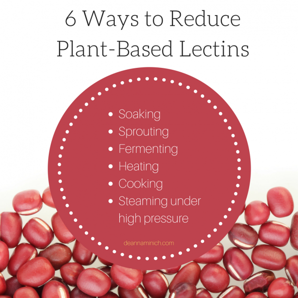 The Latest on Lectins | Deanna Minich